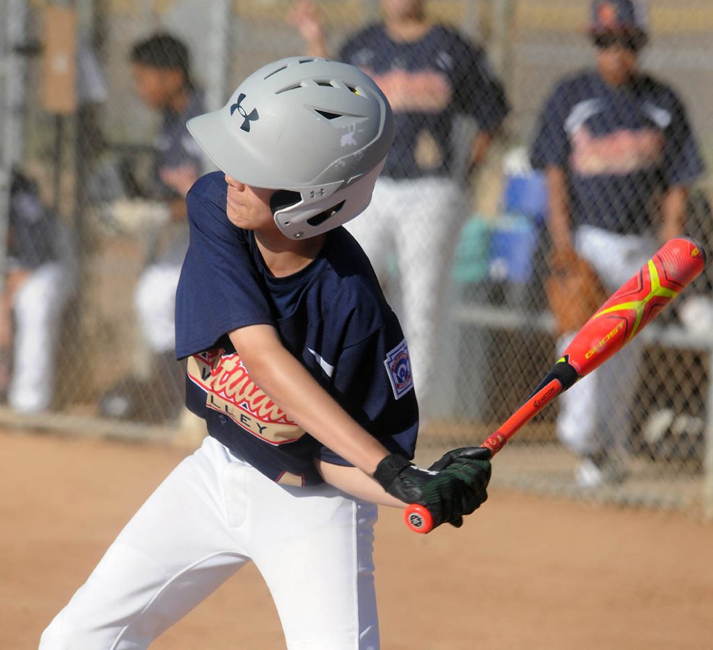 Little League Challenger program developing a sense of community | The ...