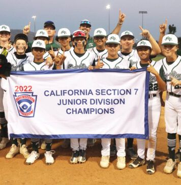 Sports | The Star News