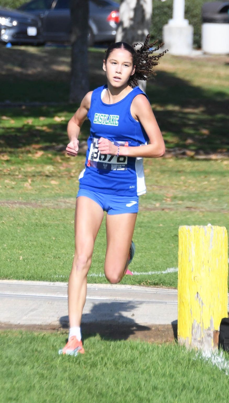 Metro Conference cross country finals set the pace | The Star News